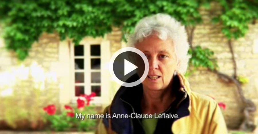 [VIDÉO] Domaine Leflaive, Puligny-Montrachet